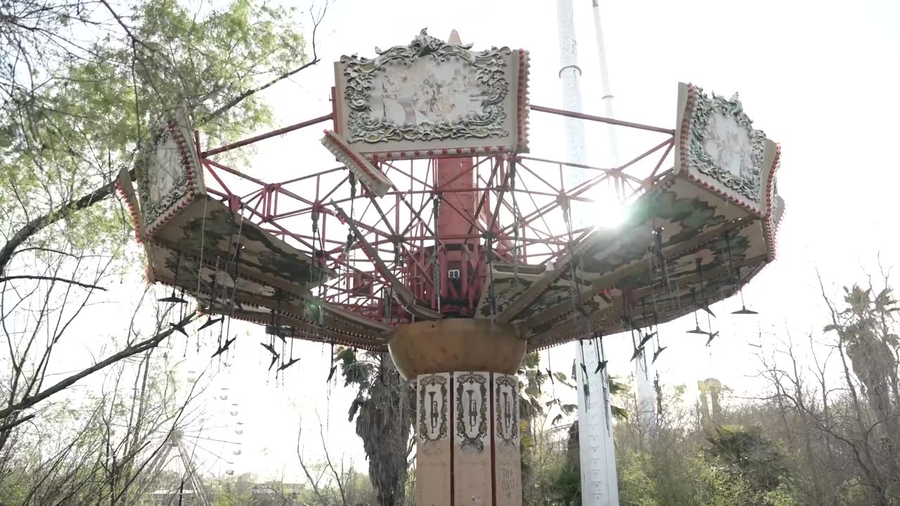 Alligators and venomous snakes took over Six Flags after Hurricane ...