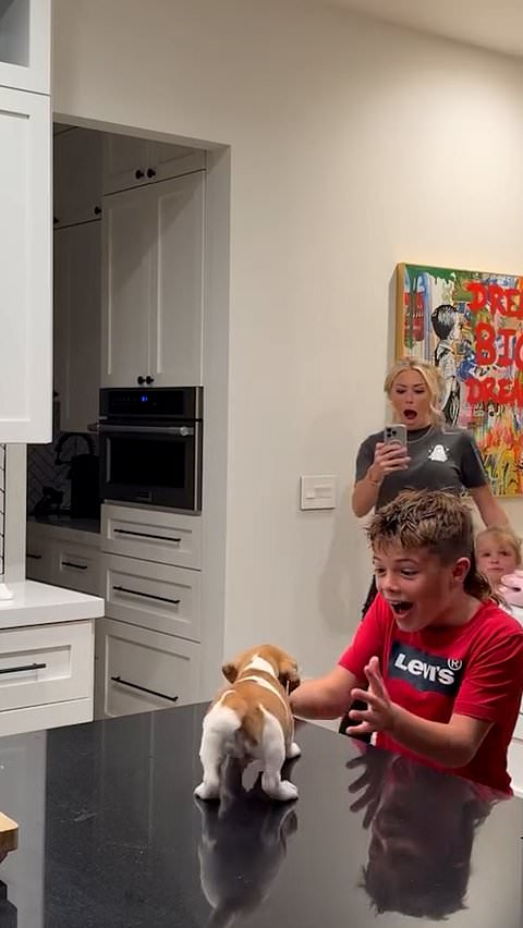 Little boy cries tears of joy after receiving surprise puppy