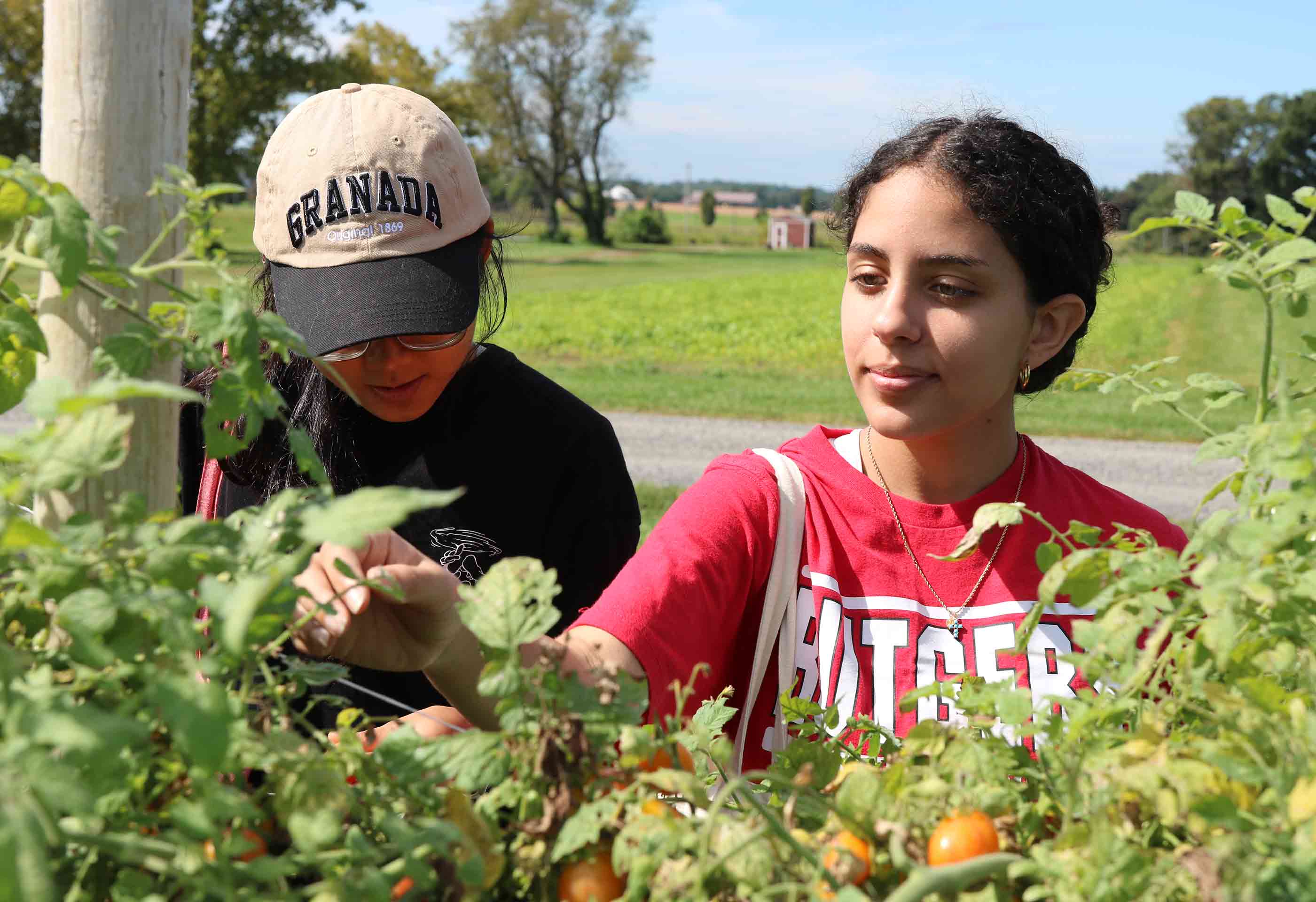 At this Hunterdon farm, solar panels and robots grow alongside crops