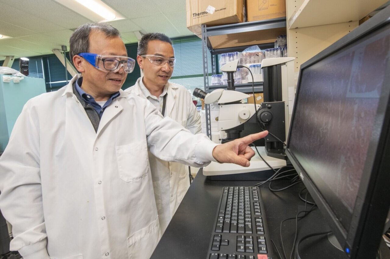 A simple blood test could reveal hidden radiation exposure