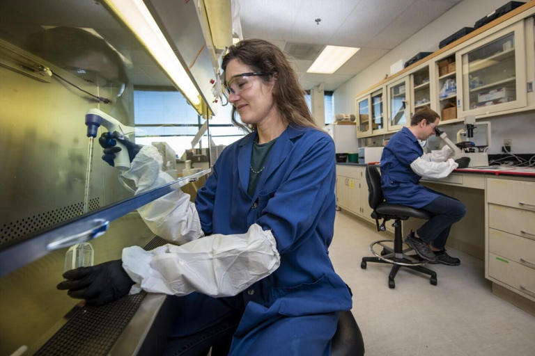 A simple blood test could reveal hidden radiation exposure