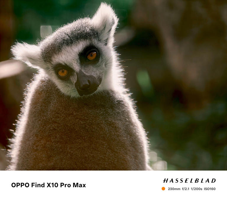 Oppo Find X10 Pro Max review: the zero-compromise camera phone
