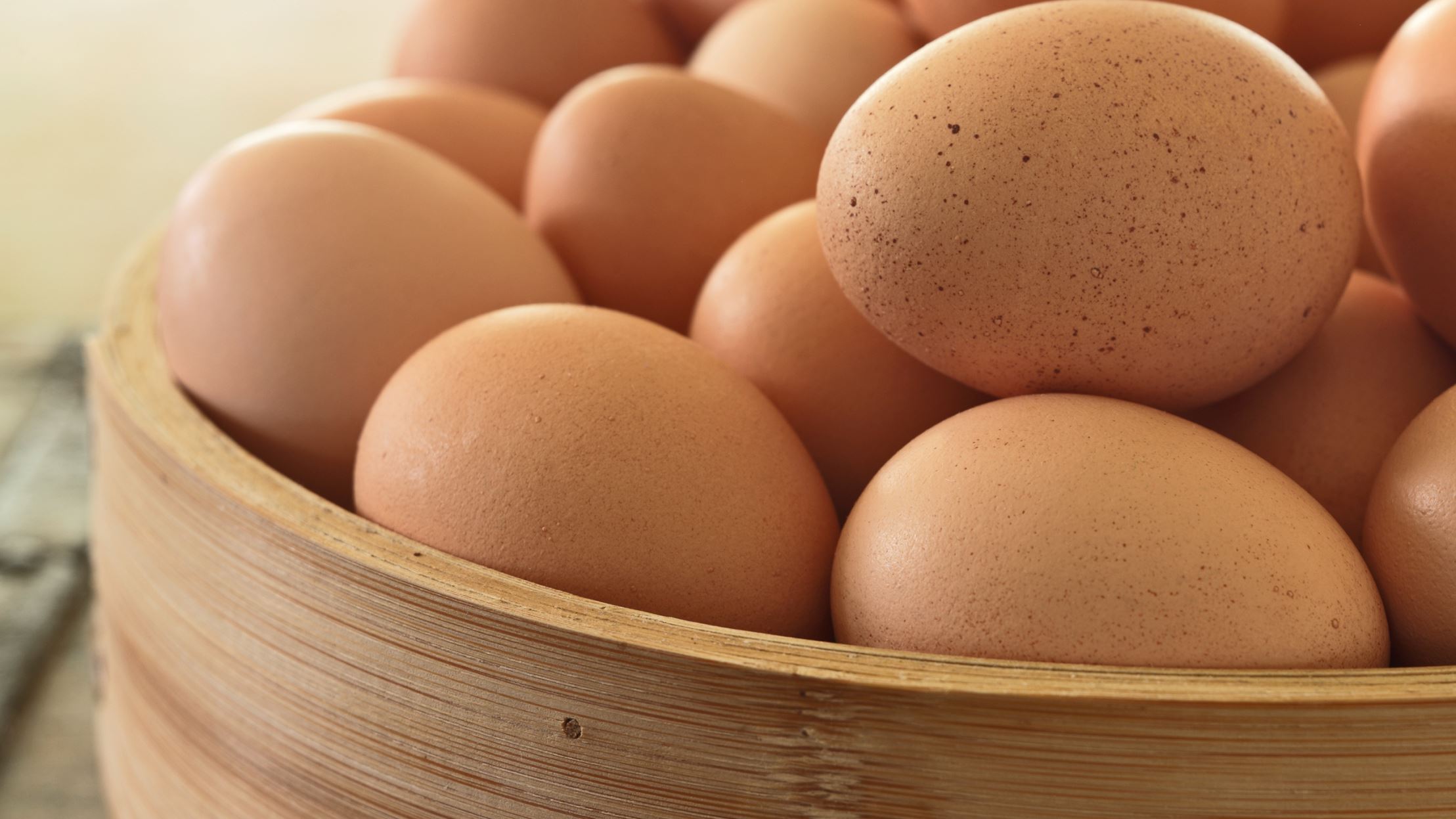 Top food-poisoning culprits