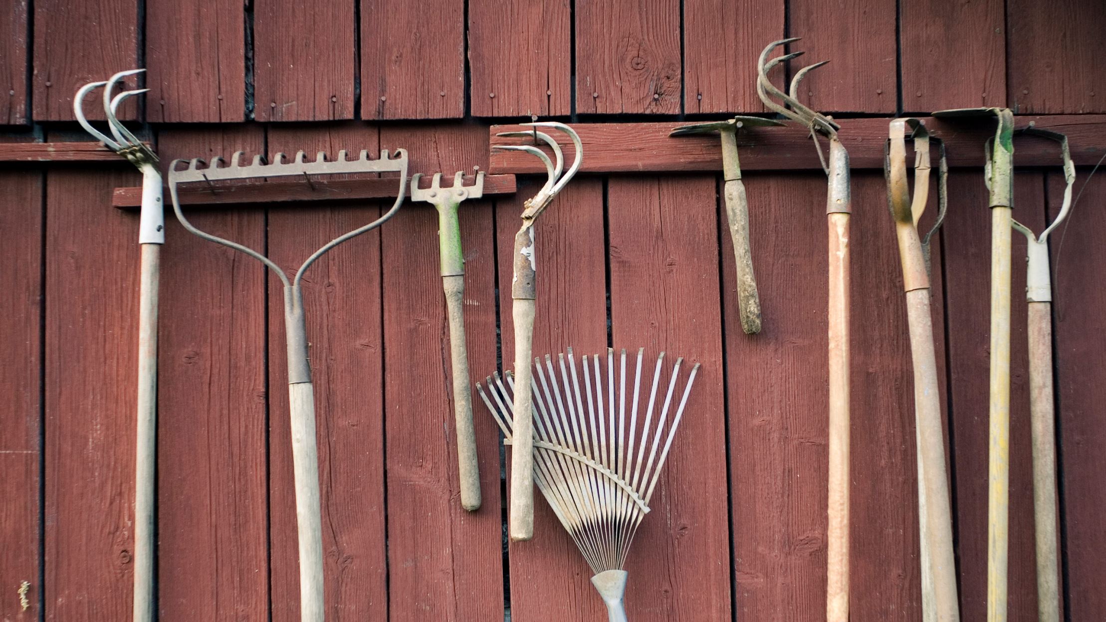 New year, new organized you