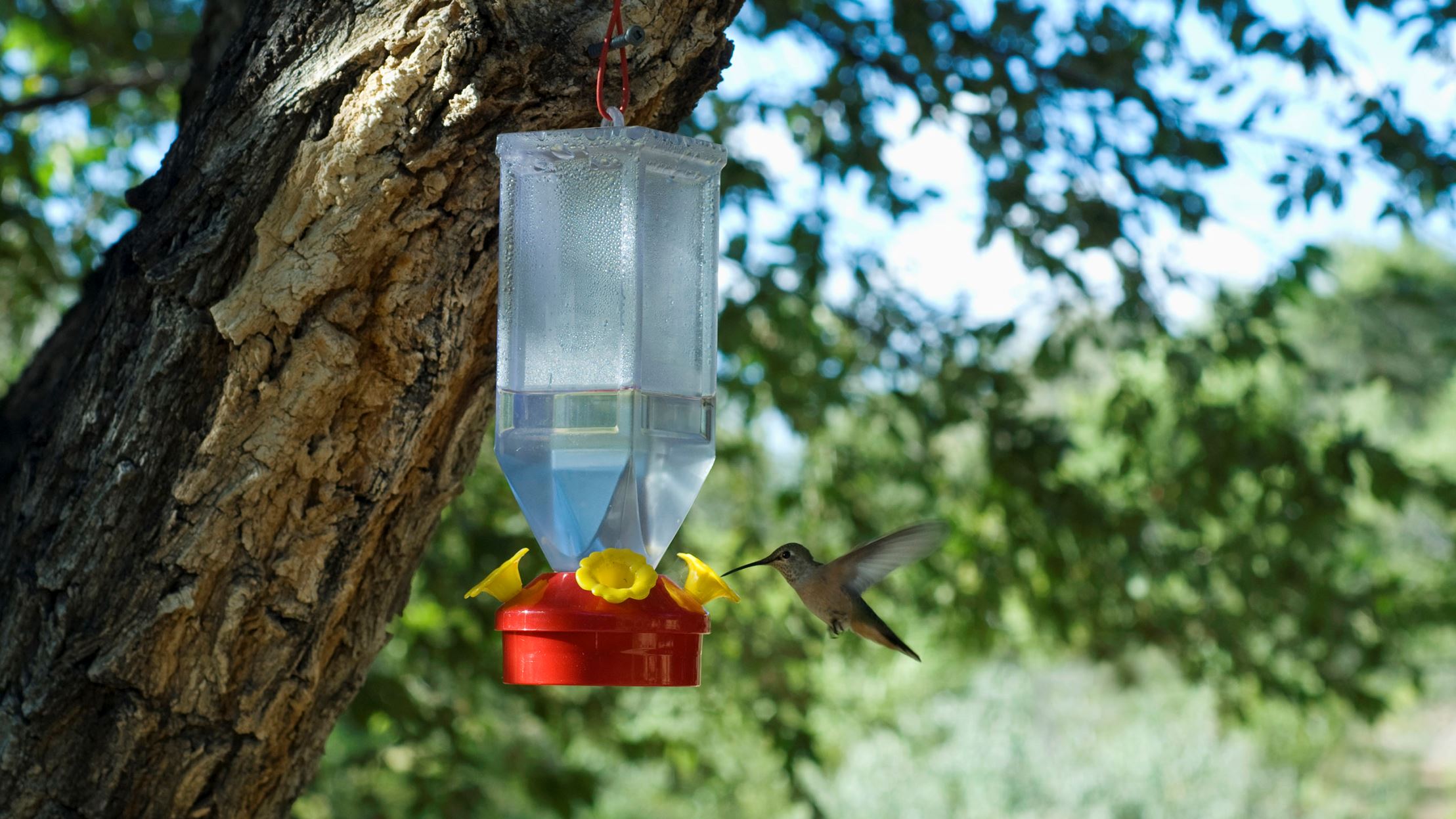 Top 10 Tips for Great Outdoor Spaces