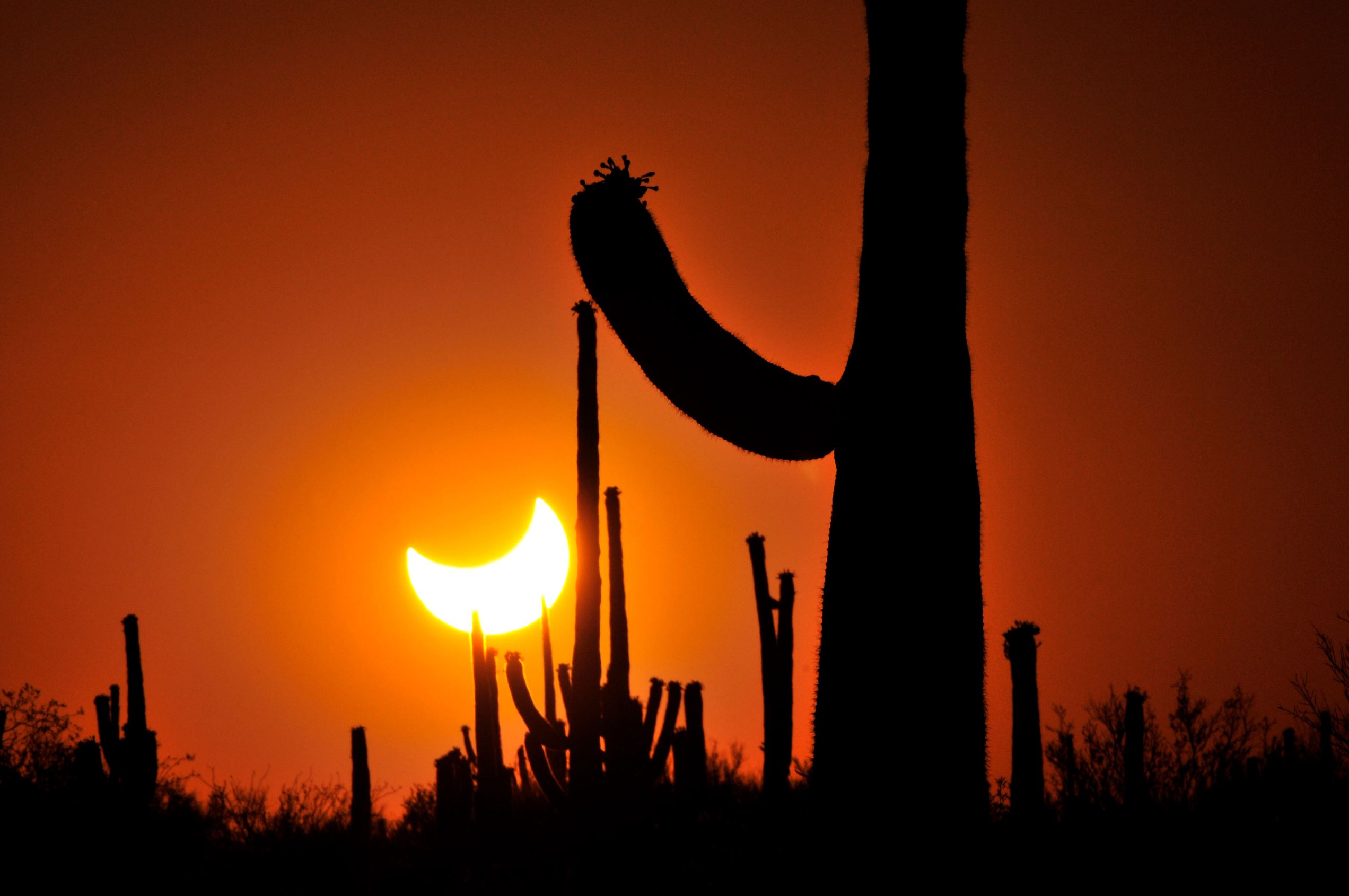 30 epic eclipse photos