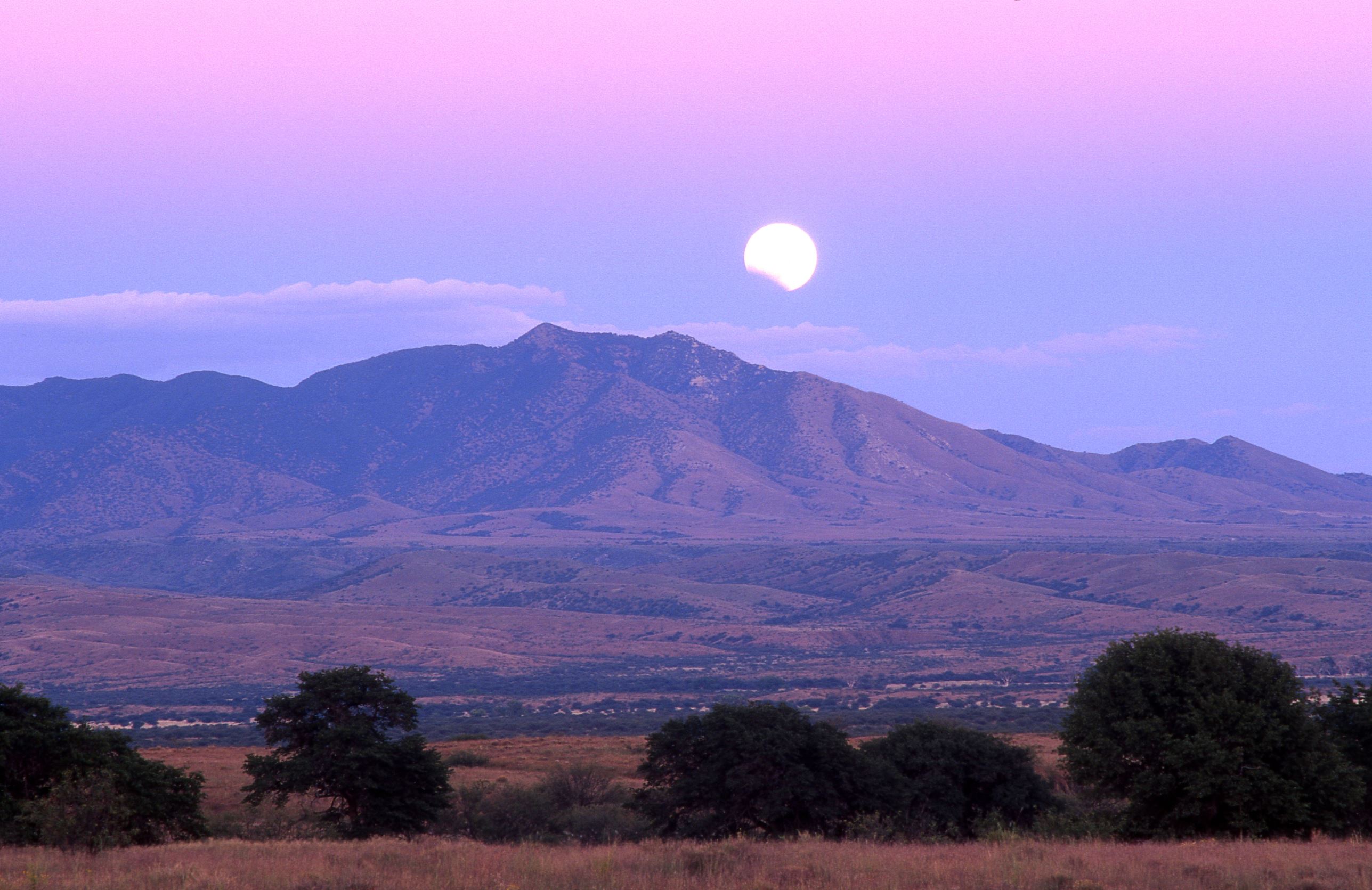 30 epic eclipse photos