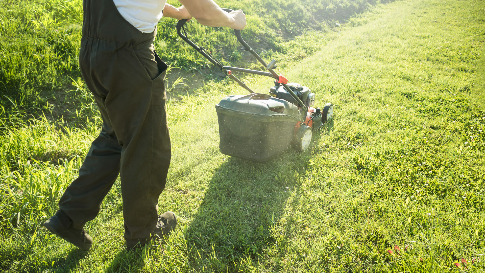 12 Businesses You Can Start for Under $1,000