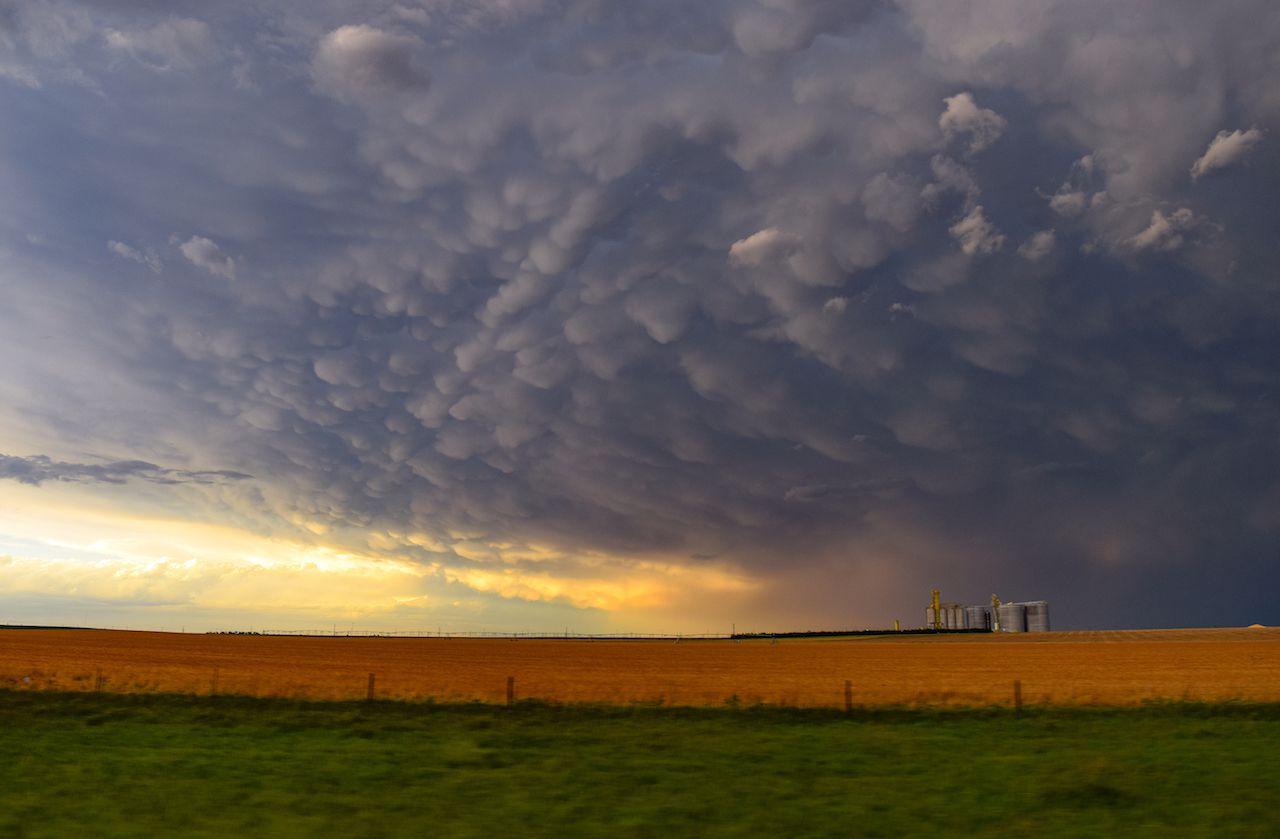 The #1 State for Residents With Registered Guns