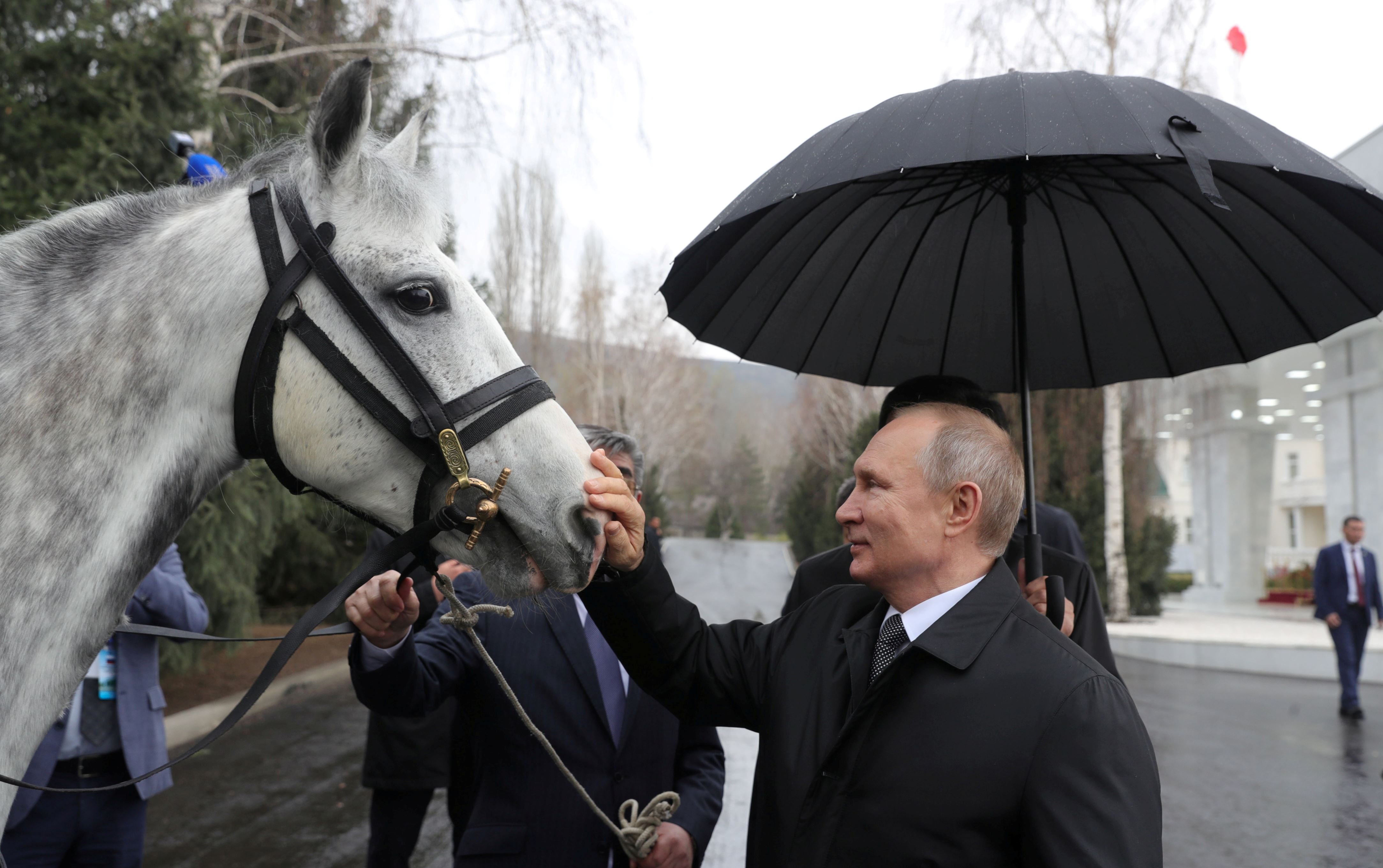 Vladimir Poutine Cheval