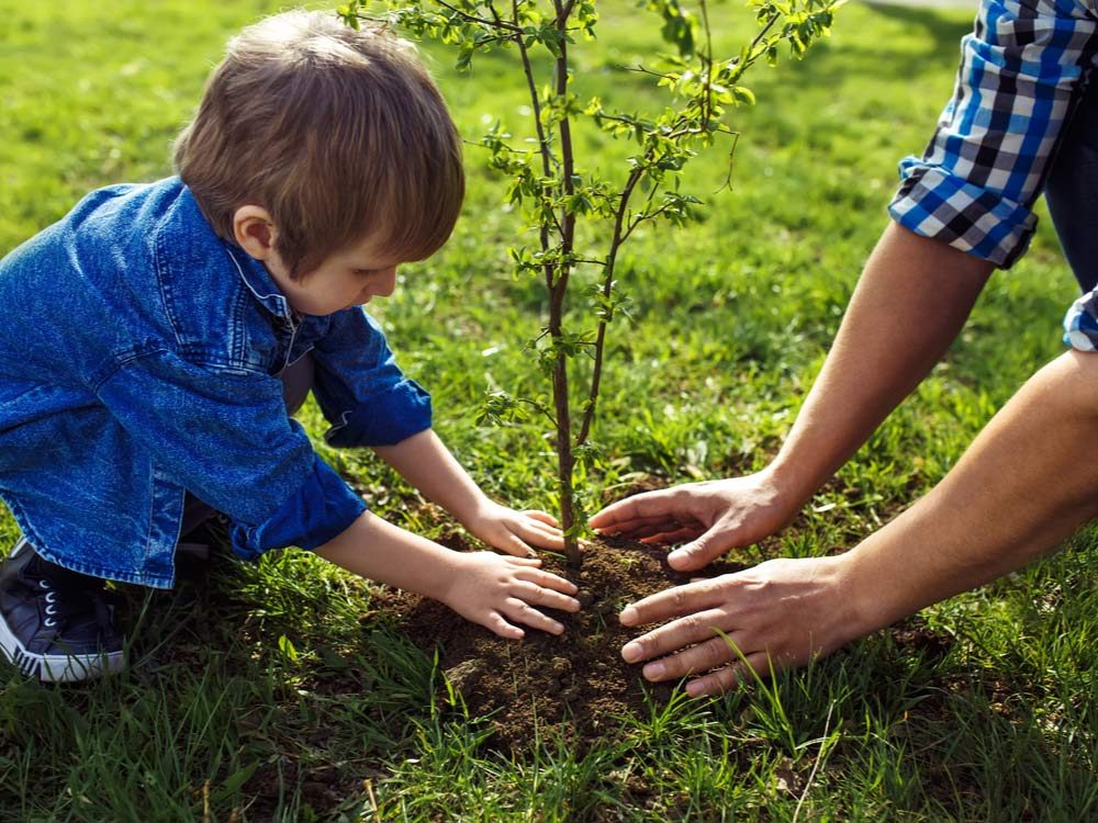 Why you should never throw out an old garden hose