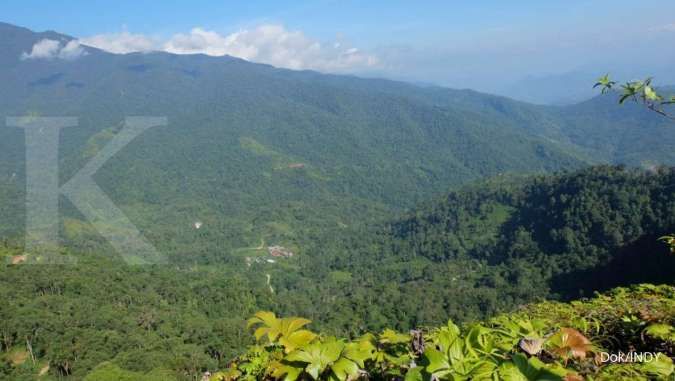 Intip Rekomendasi Saham Indika Energy (INDY) yang Terdongkrak Proyek ...