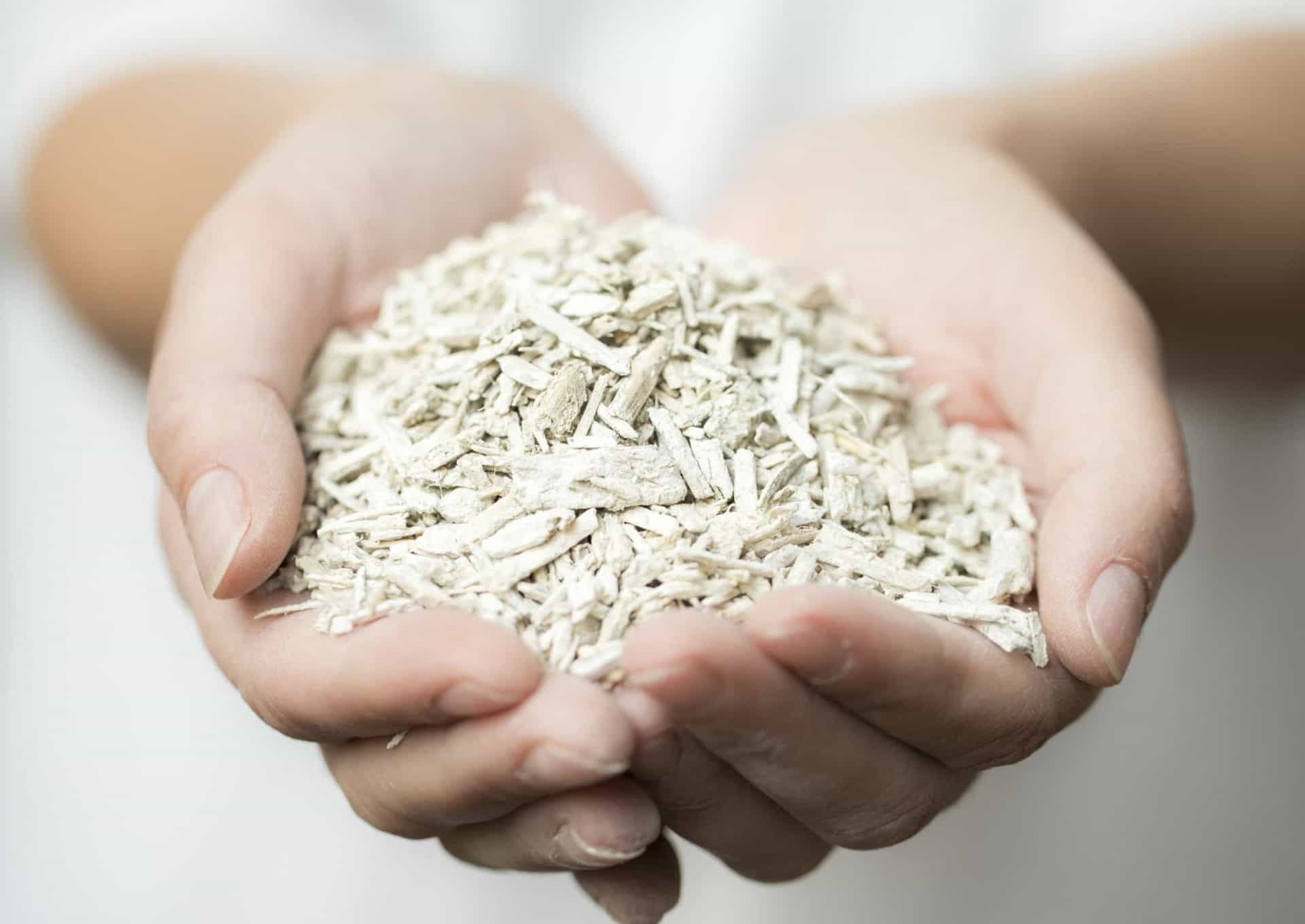 The positive impact of hemp on the planet