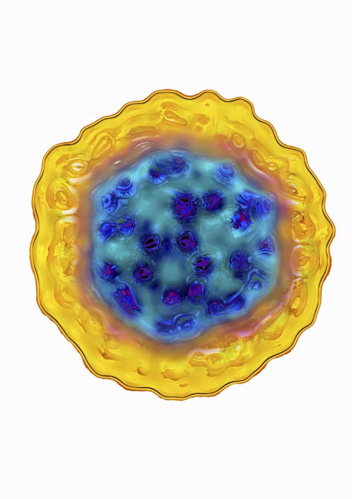 What are the early symptoms of hepatitis?