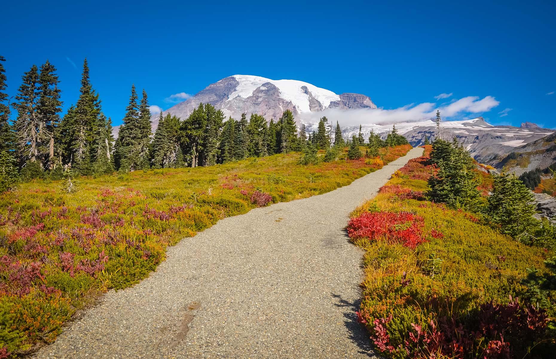 The most beautiful hiking trail in every US state
