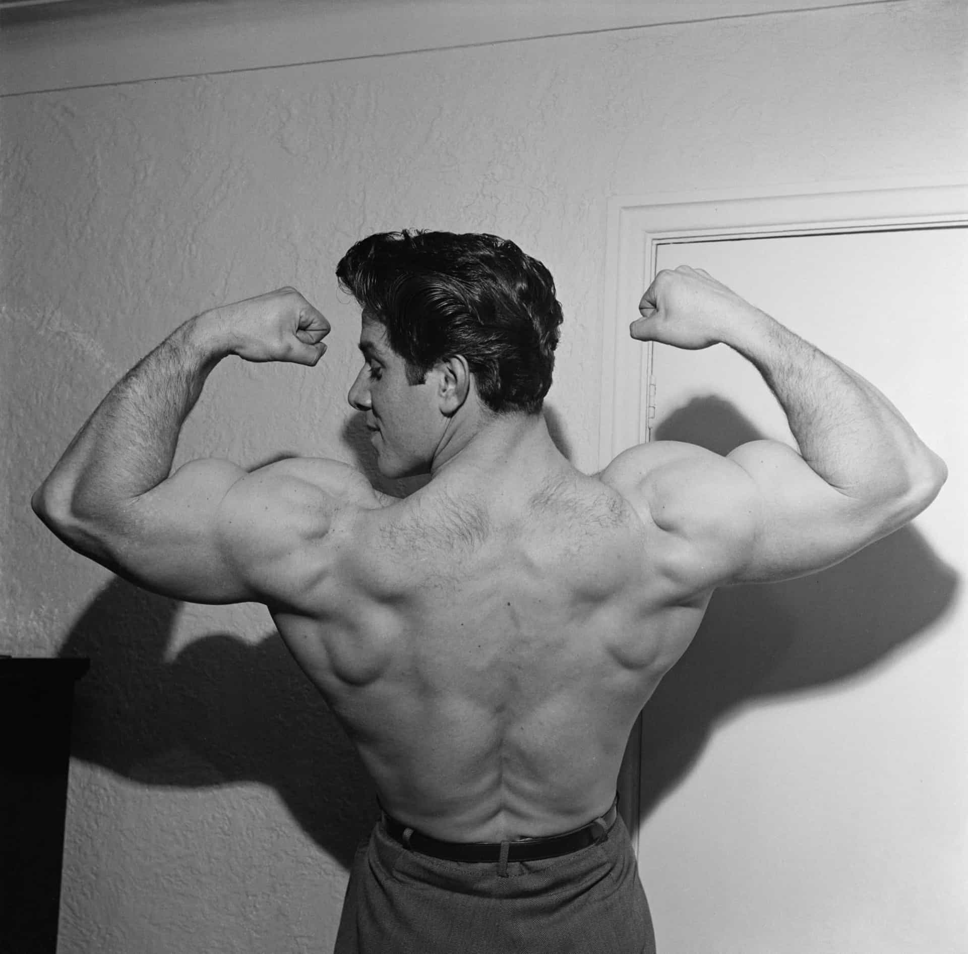 Bodybuilders who became successful actors