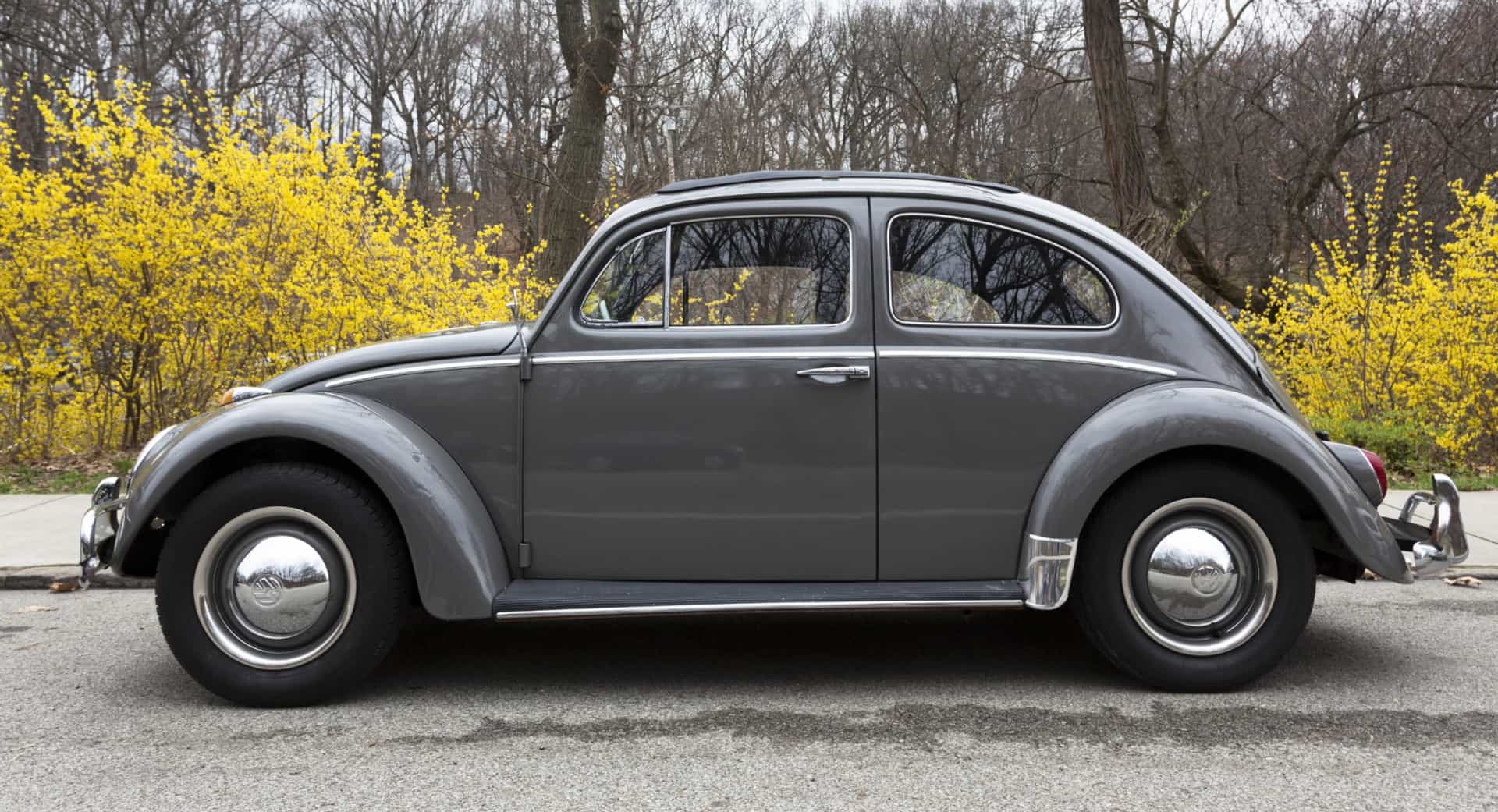 The end of the road for the Beetle