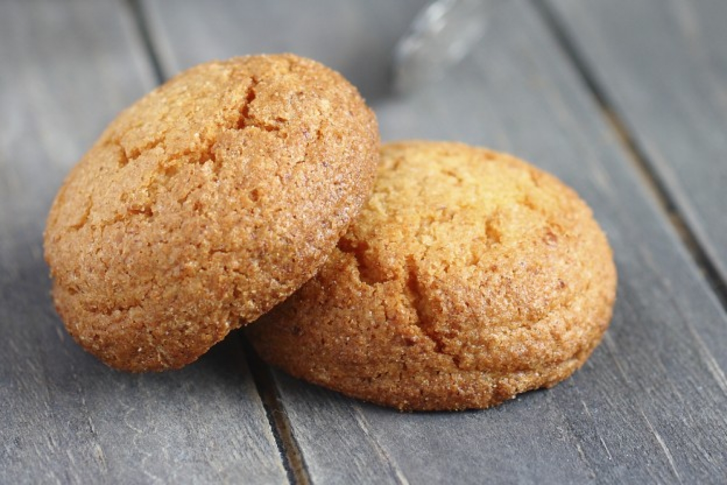50 deliziose ricette per fare biscotti irresistibili!