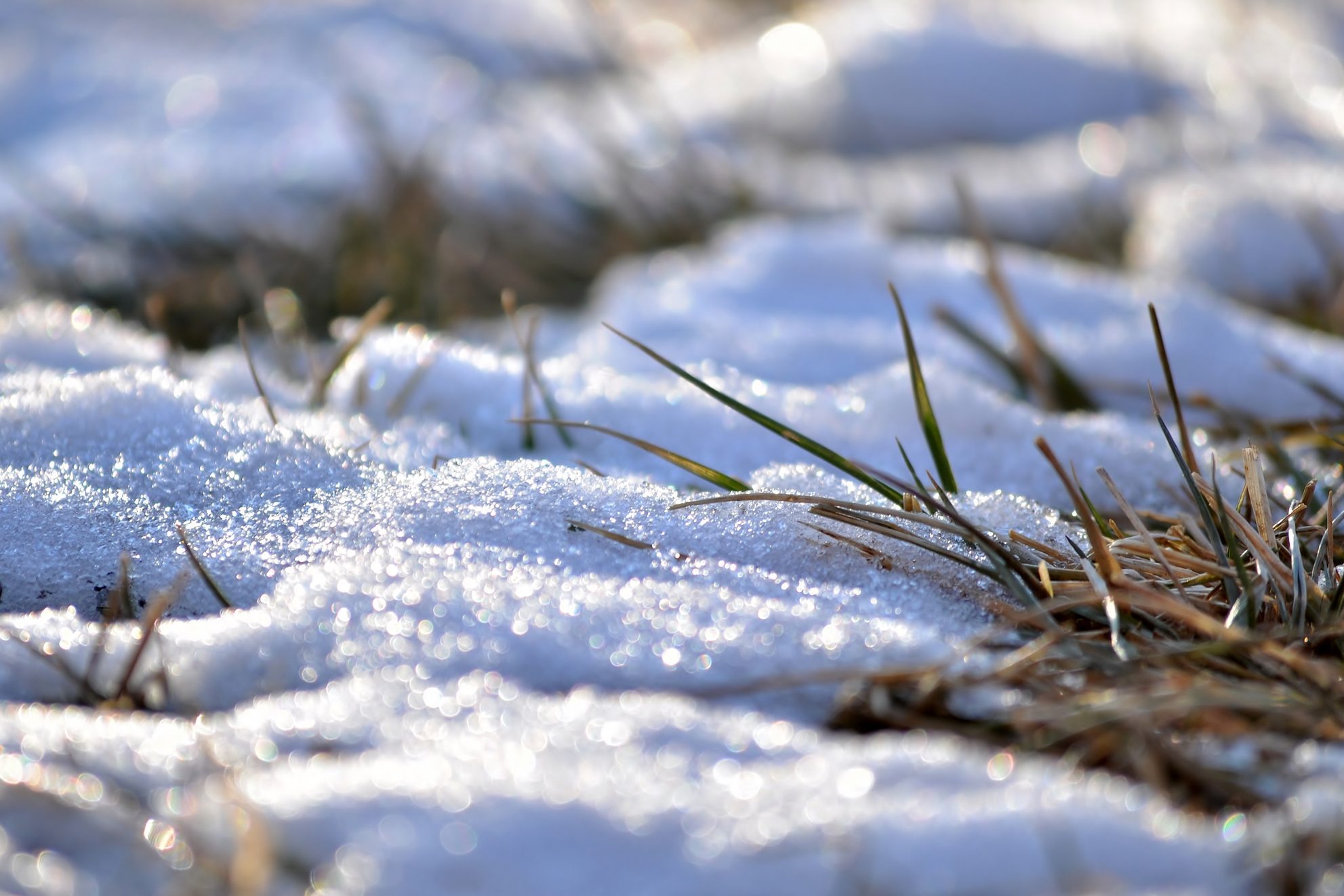 A Guide to Reviving Your Lawn After Winter