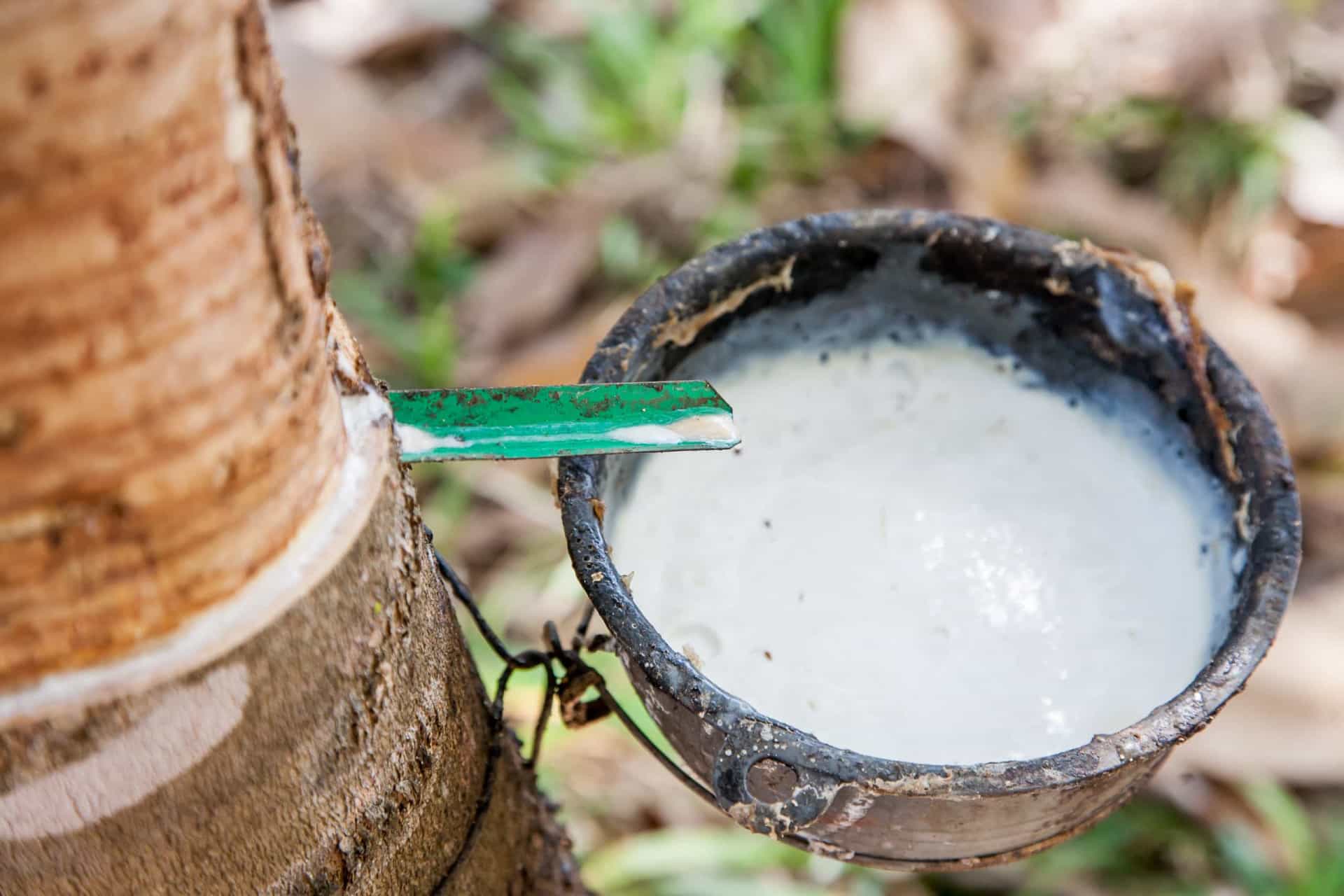 Everyday things you didn’t know were invented by indigenous peoples