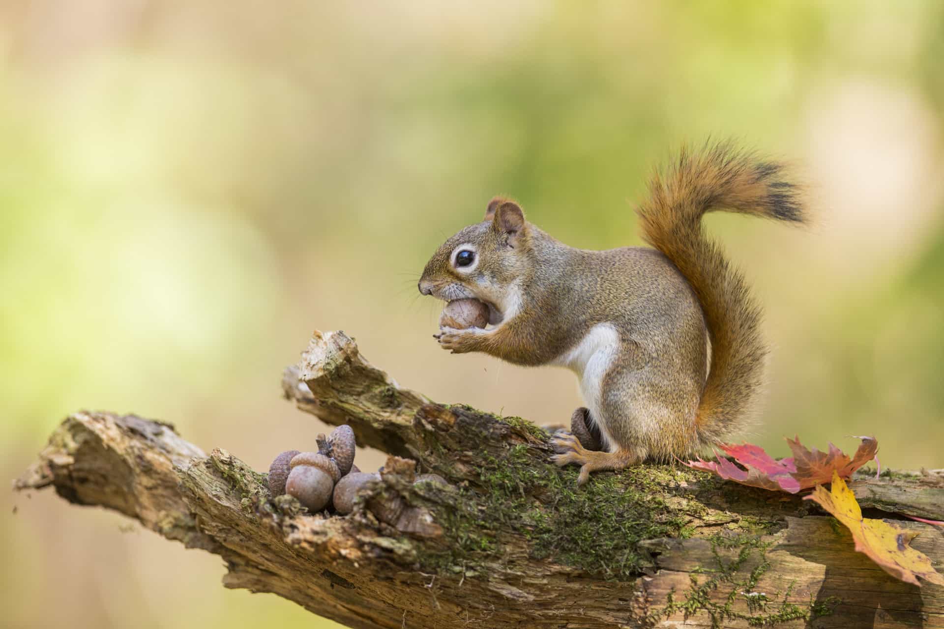 Funny facts that will brighten your day