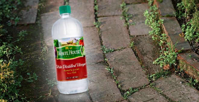 MSN Québec | Actualité, météo, horoscope, Outlook, Hotmail | MSN Canada