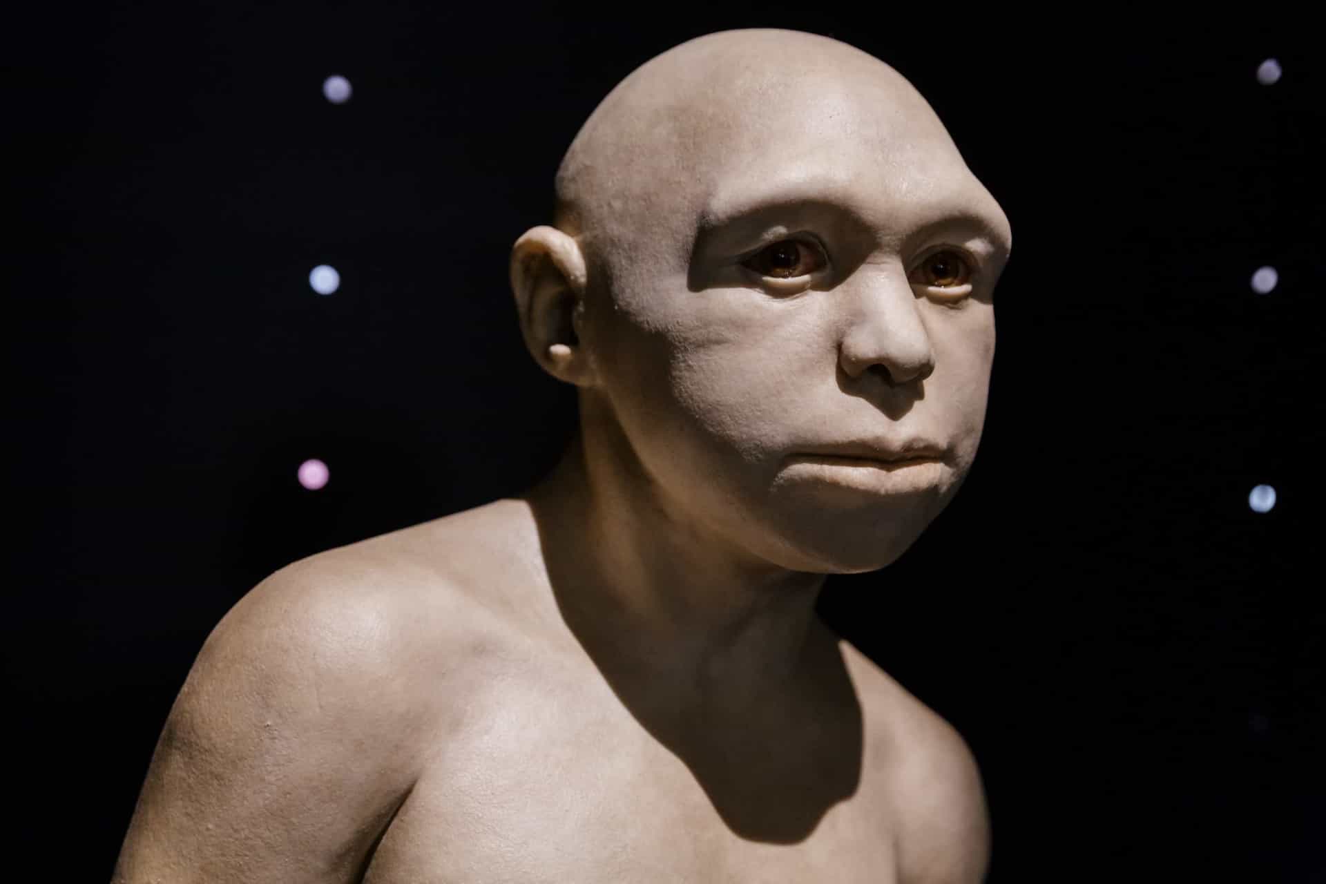 Extinct human species: how different were they from us?