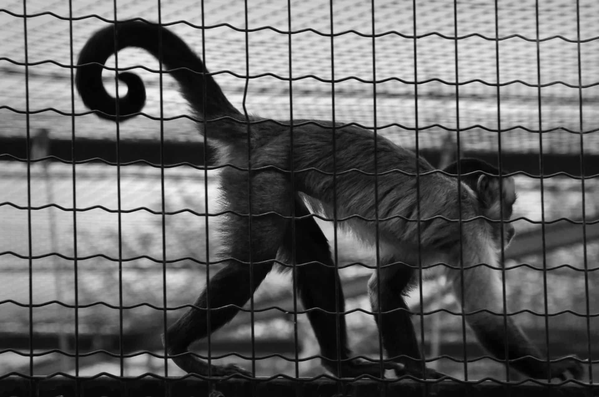 Controversial science experiments throughout history