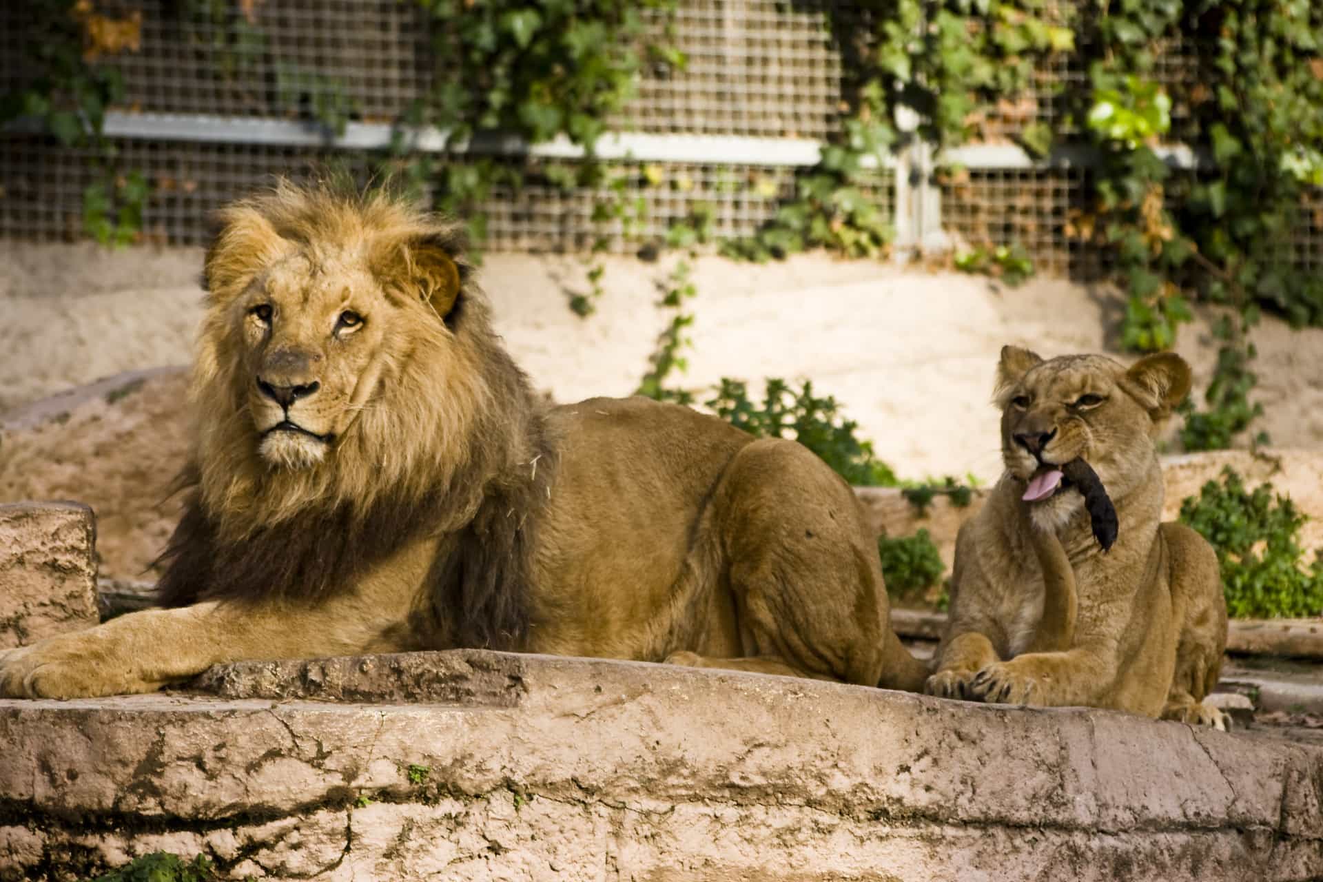 Secrets zoos don't want you to know about