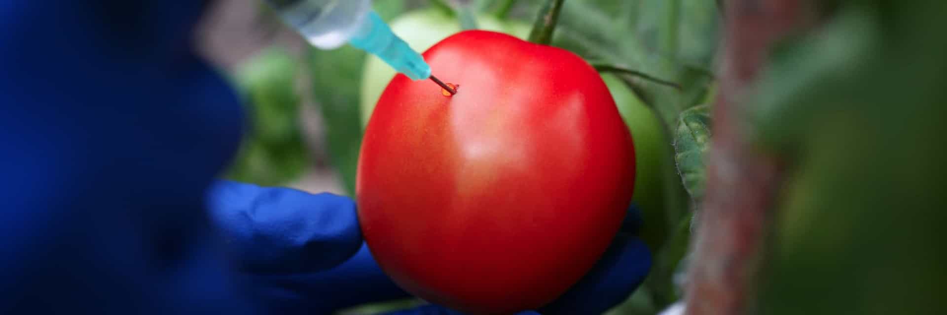 The strangest genetically modified foods hitting the shelves