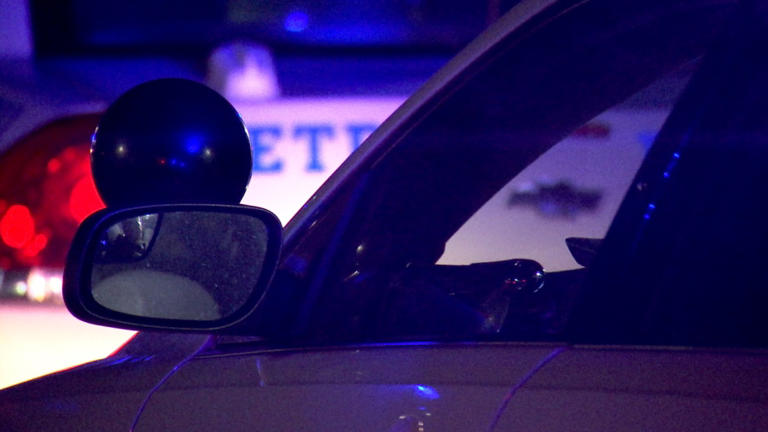 Burglary Suspect 4 Guns Found In Vehicle Stolen From Short Term Rental