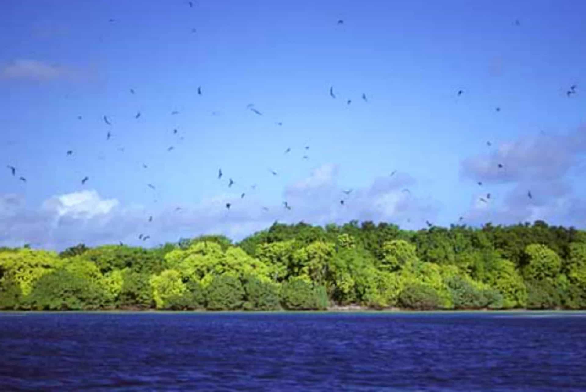 Discover 60 extreme points of Earth