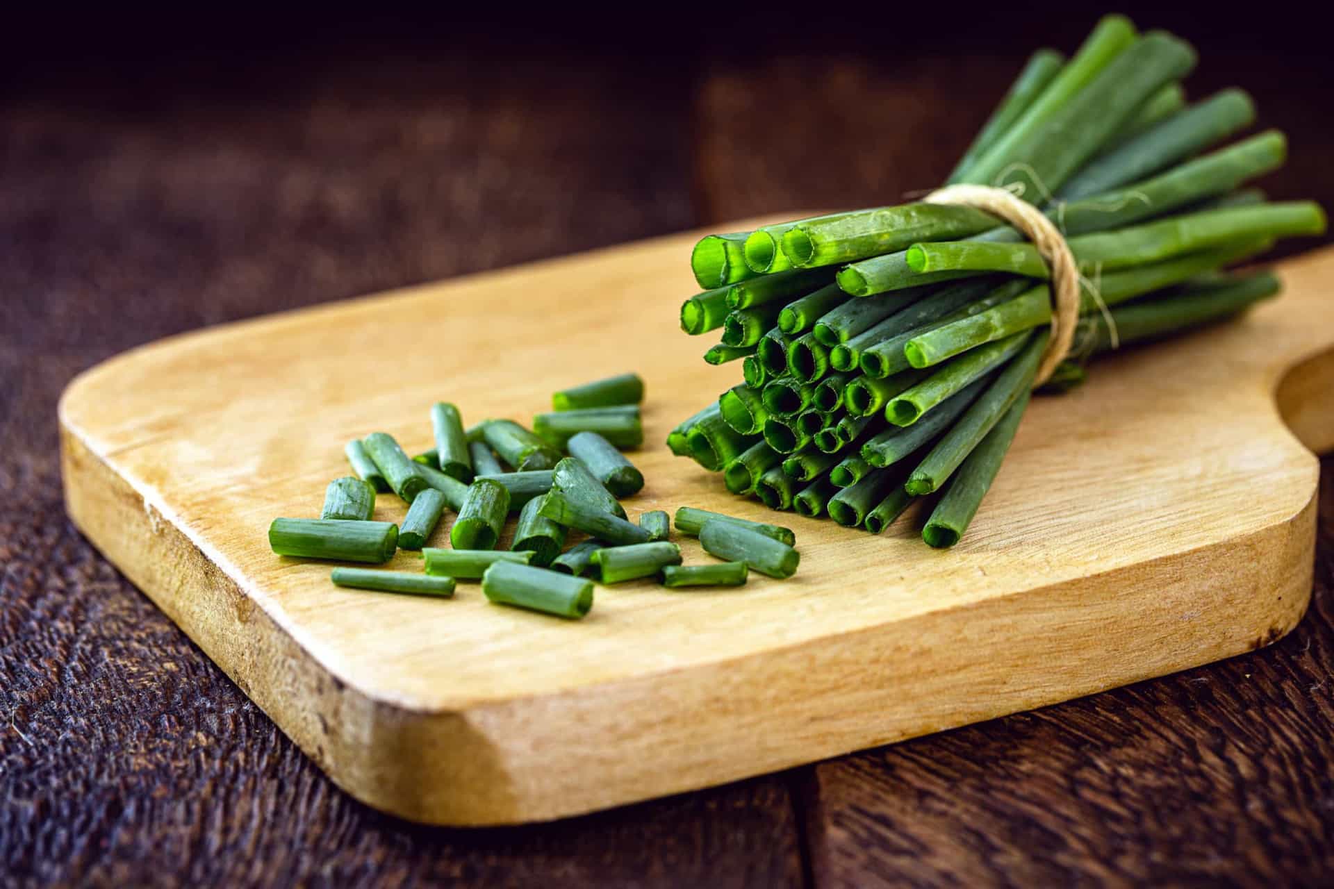 Foods that are poisonous to dogs
