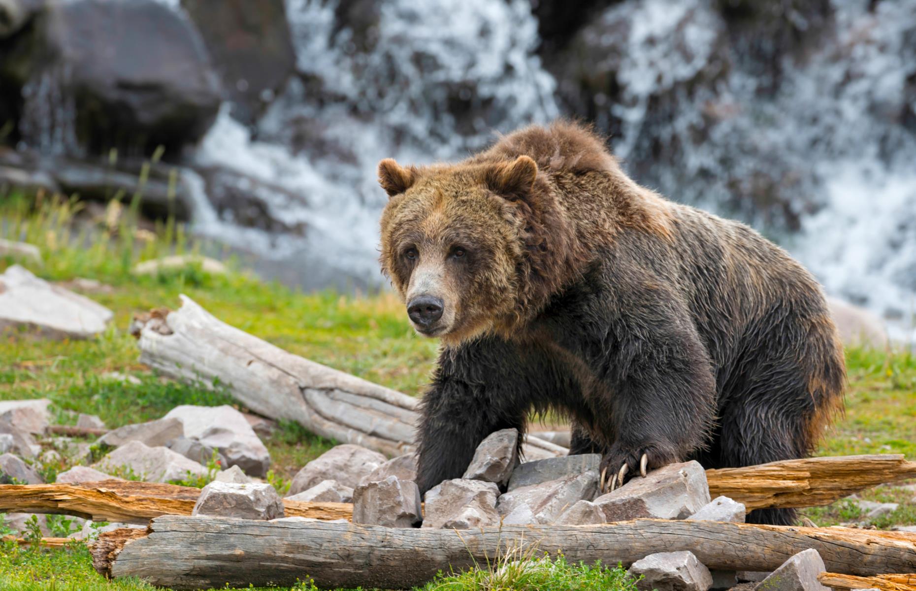 The most incredible places to see wild animals in every state