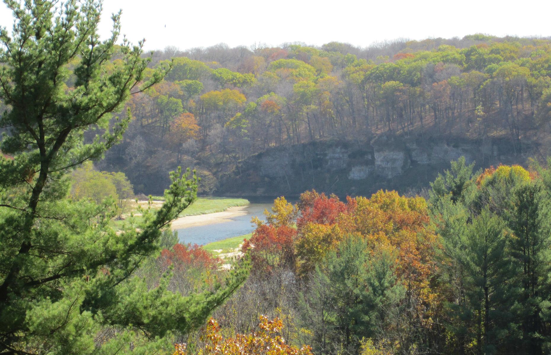 We've Found The Best Place To Spot Wildlife In Your State