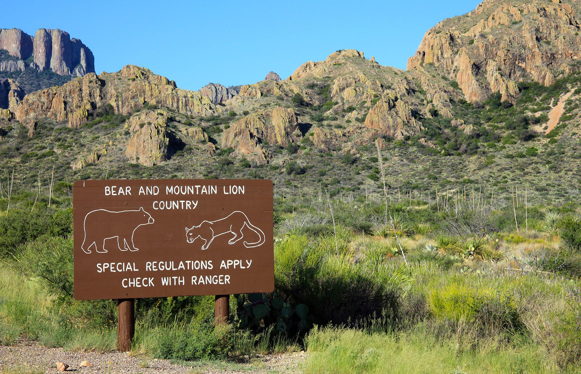 We've Found The Best Place To Spot Wildlife In Your State