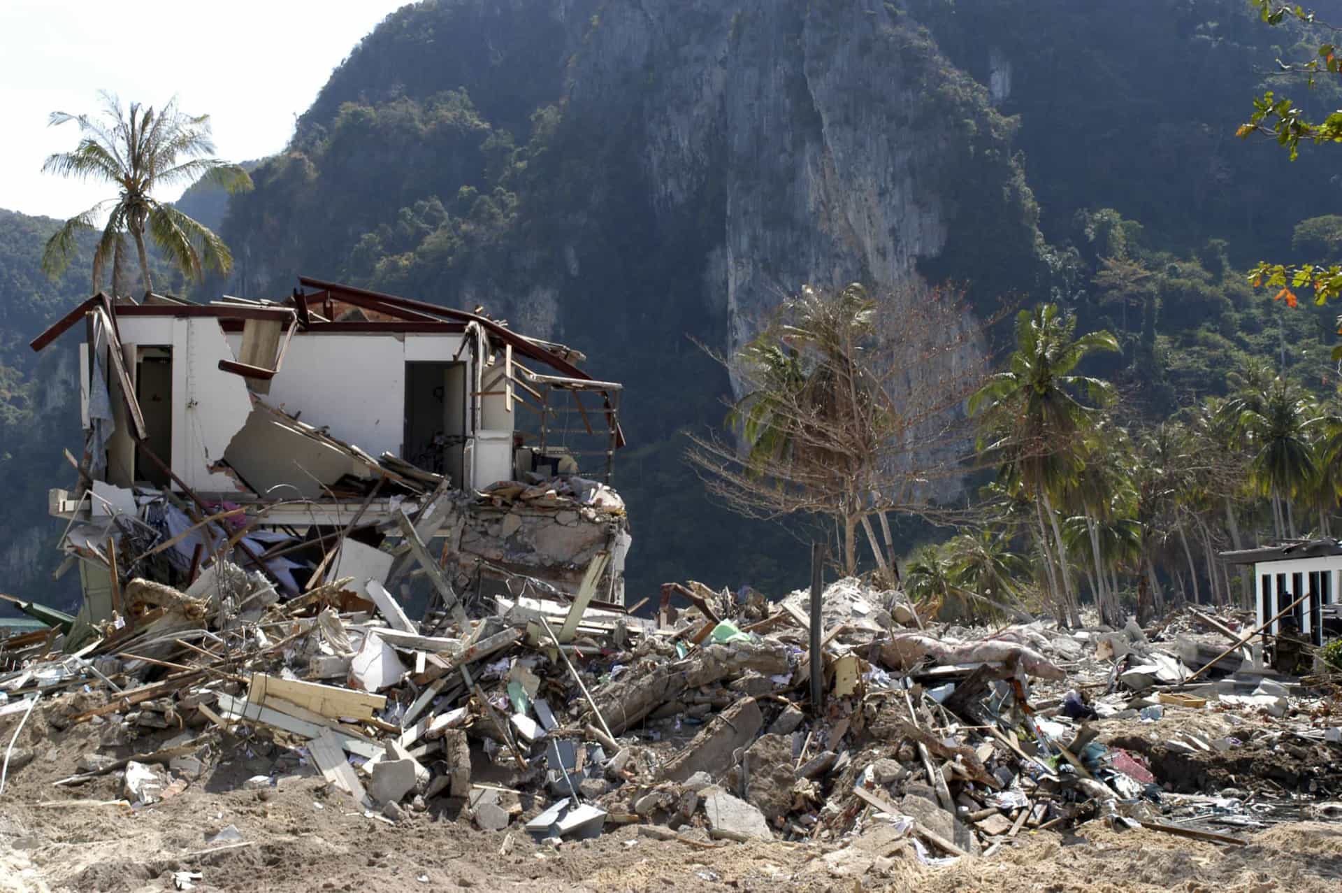 These animals can save you from a natural disaster
