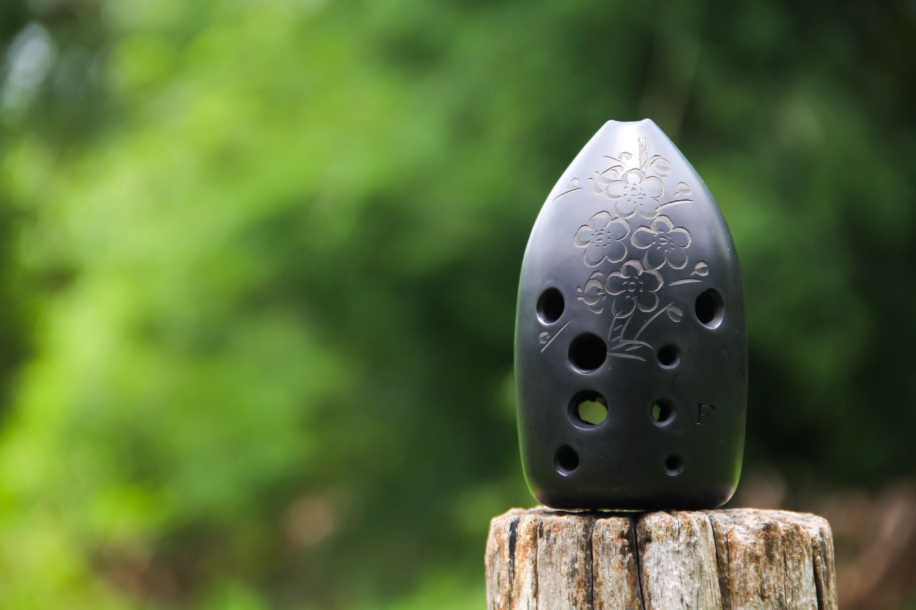 Les instruments de musique les plus insolites