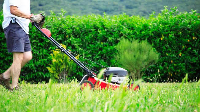 Best Lawn Mowers for Small Yards