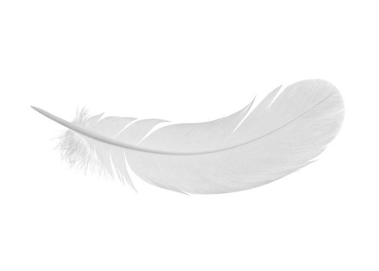 The Spiritual Meaning of Feather: It's Hidden Meaning