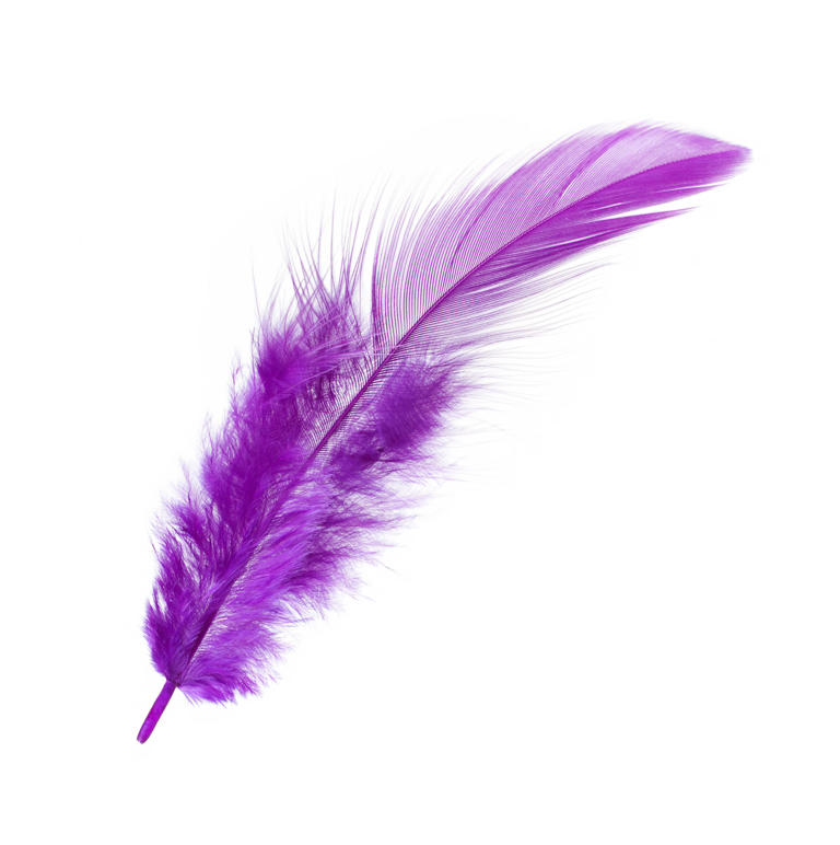 The Spiritual Meaning of Feather: It's Hidden Meaning