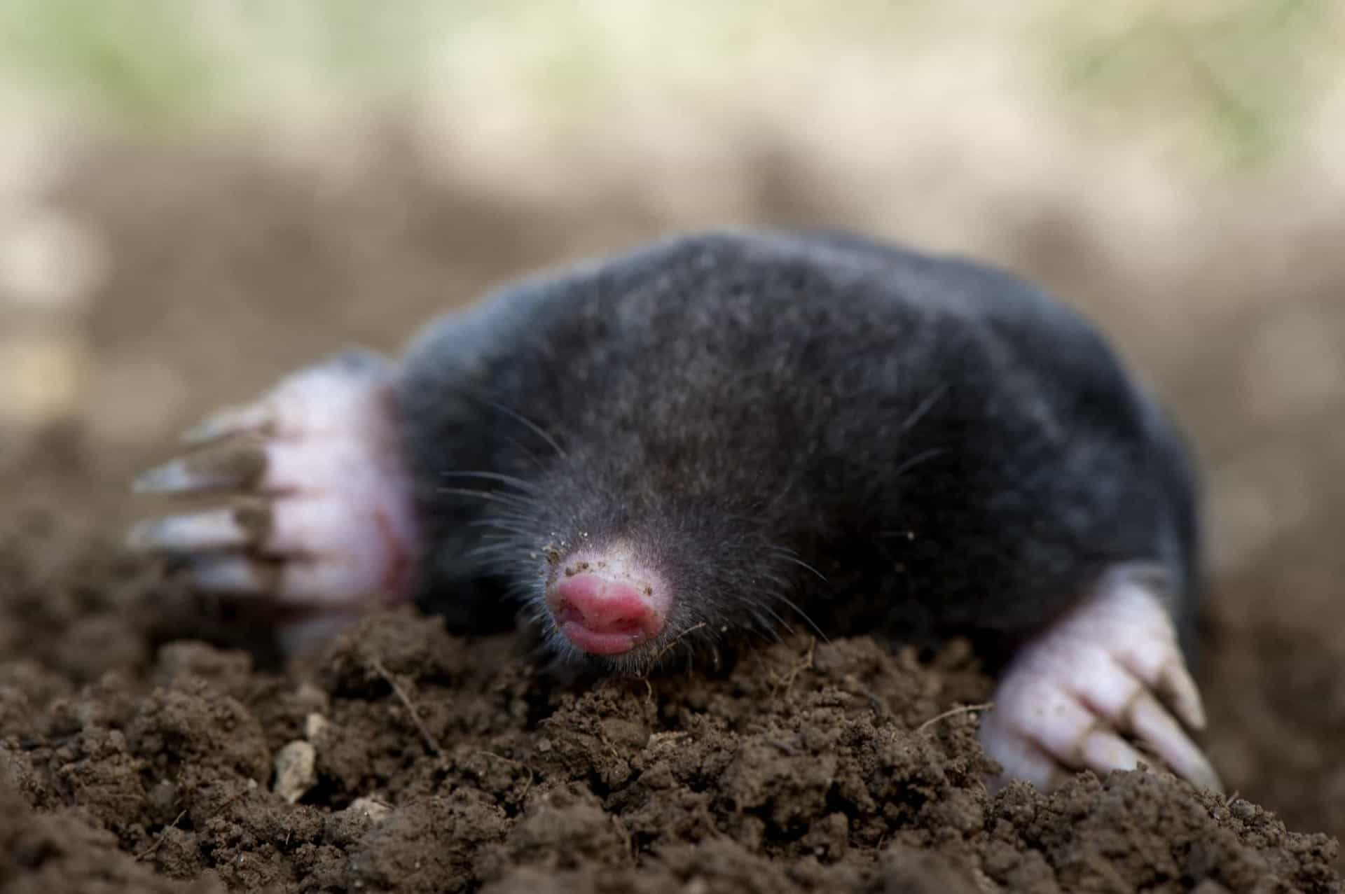 Fascinating creation myths from around the world