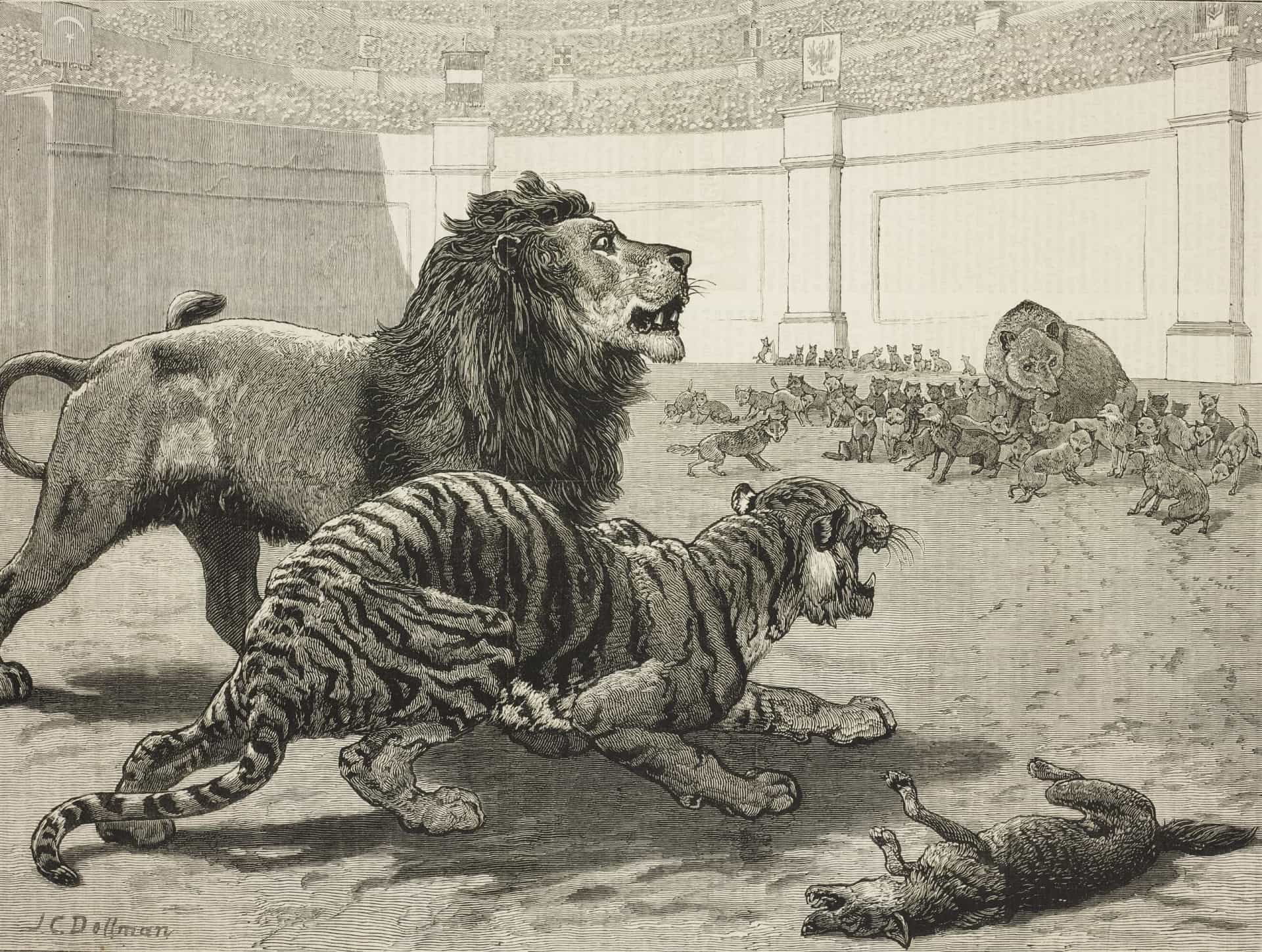 Fascinating facts about ancient Rome that will surprise you