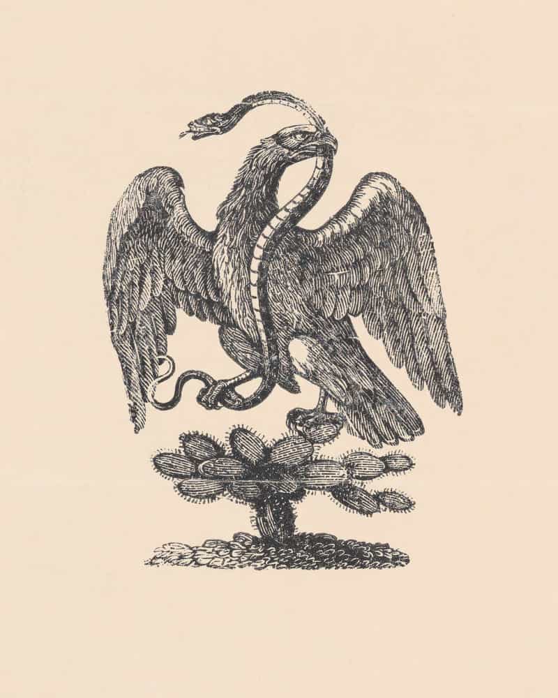 Impressive facts about the Aztec Empire