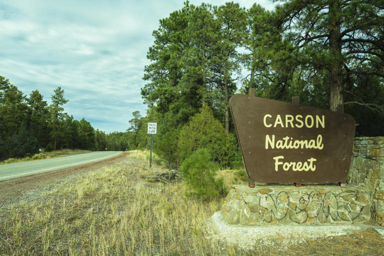 Carson National Forest accepting comment on assessment of Questa to Red ...