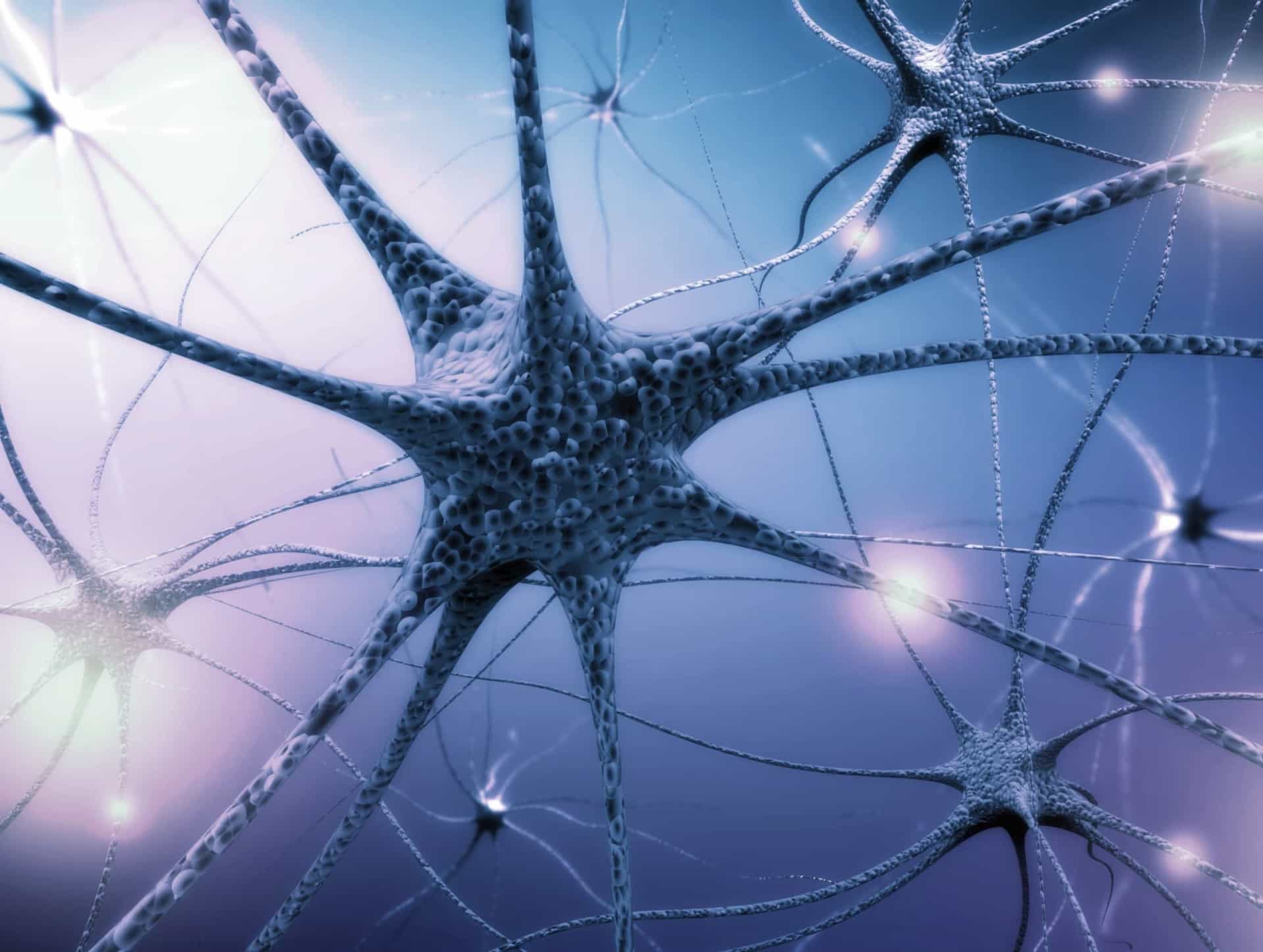 Huntington's disease: what is this rare neurodegenerative disorder?