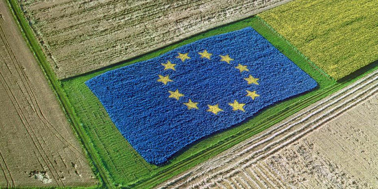 ΕΕ: Ασαφές τι συμφώνησαν Τραμπ-Ορμπαν για τις κυρώσεις στη Ρωσία