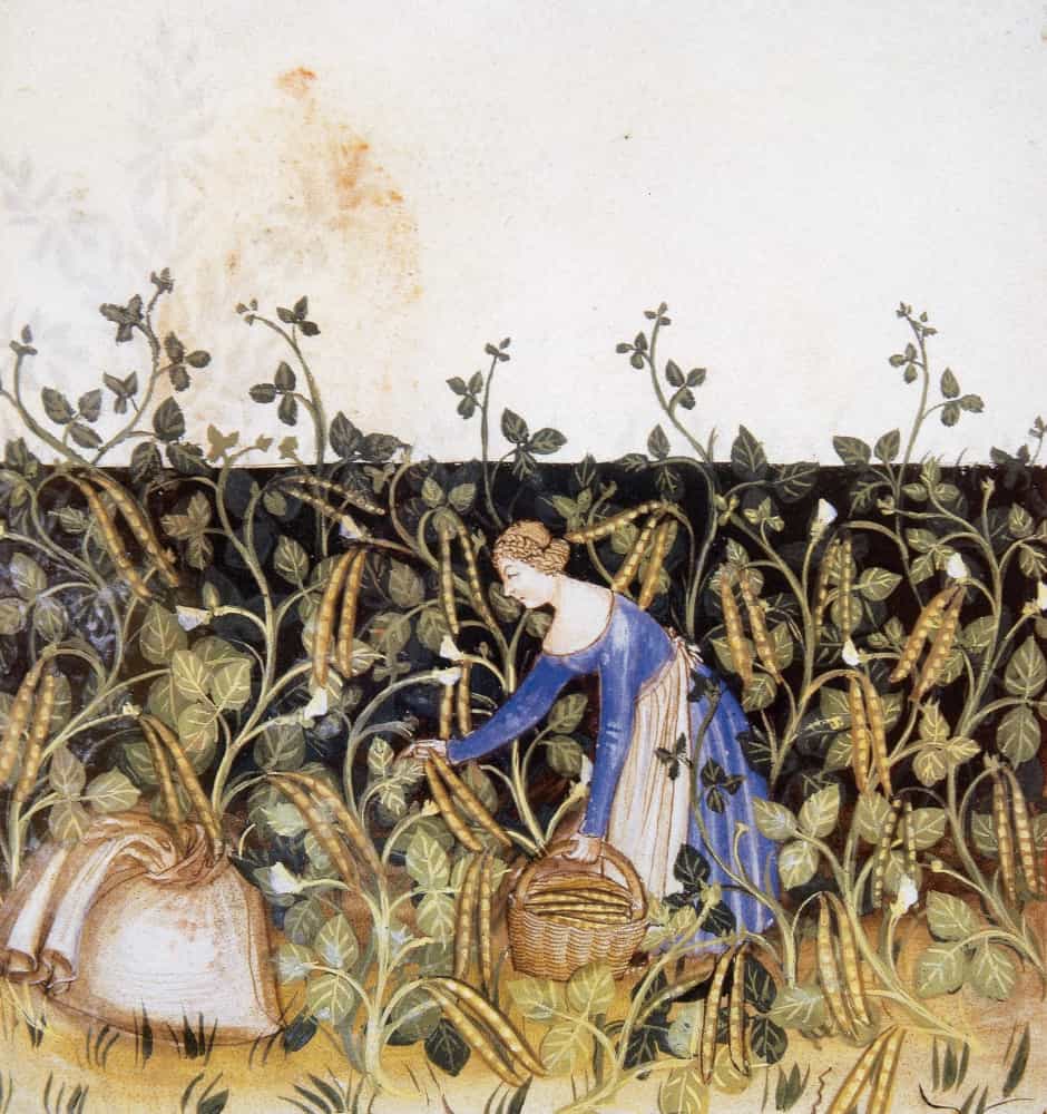 What was the average diet like in medieval Europe?