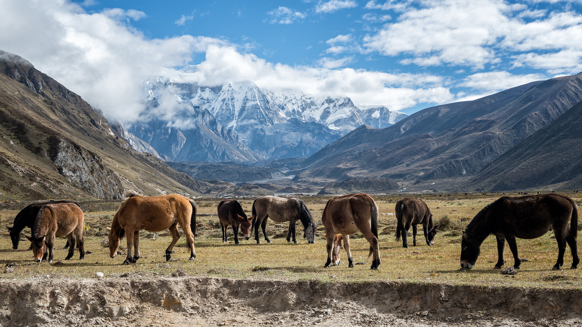Paisagens fantásticas