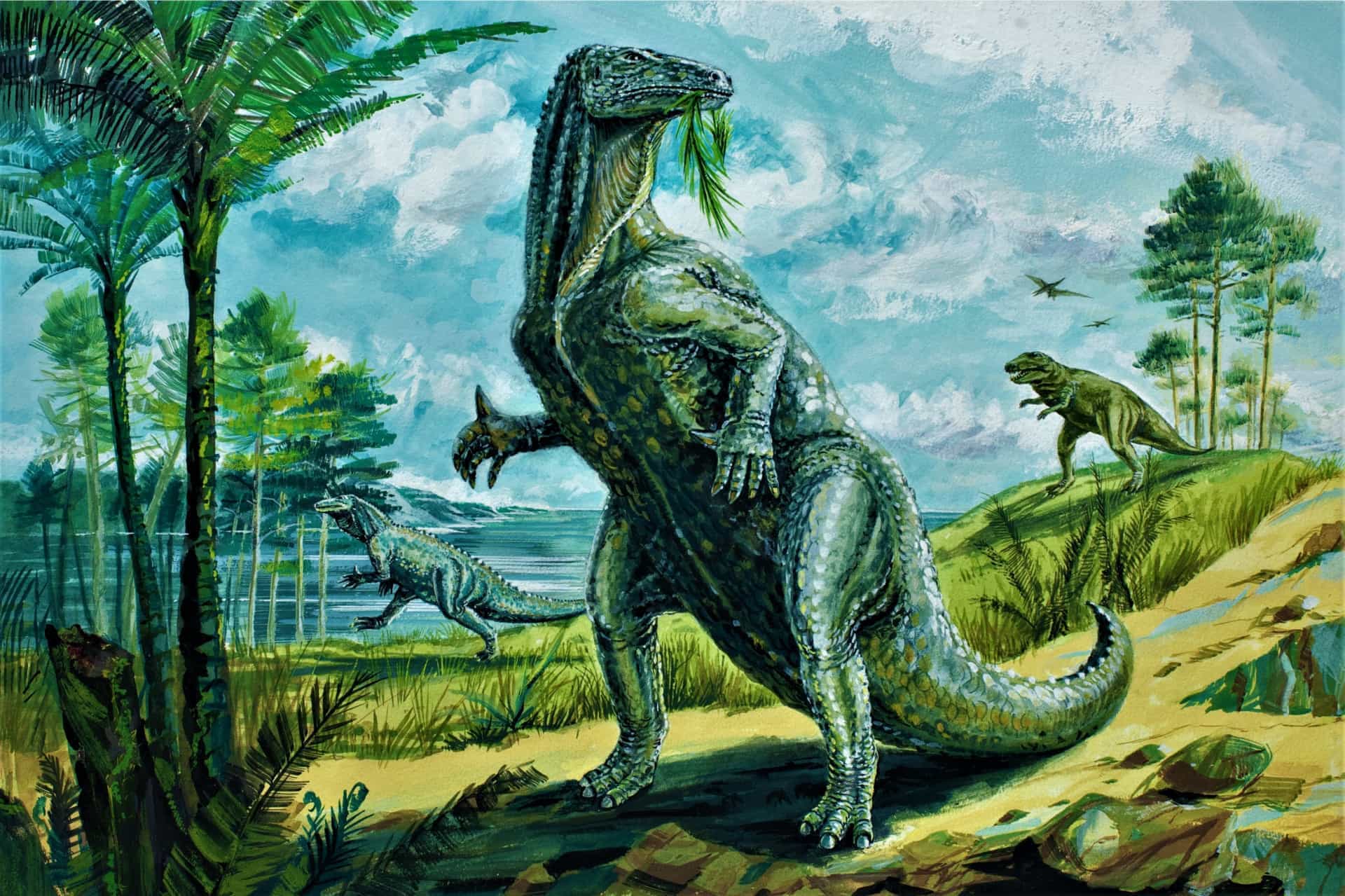 What do we actually know about dinosaurs?